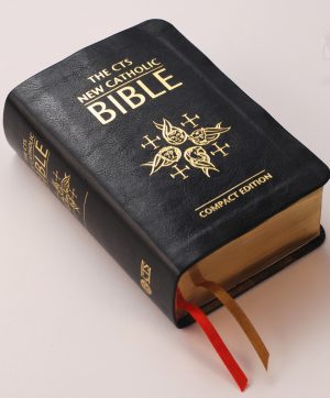 The CTS New Catholic Bible – Standard Edition | Catholic Truth Society