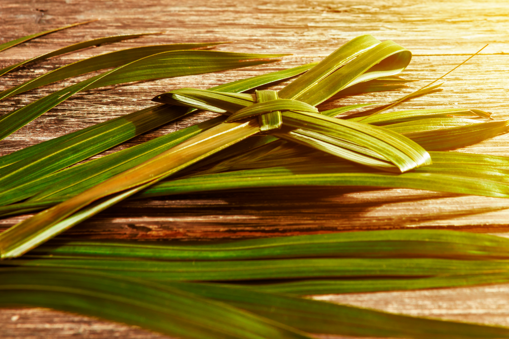 Palm Sunday: Catholic Customs & Traditions | Catholic Truth Society