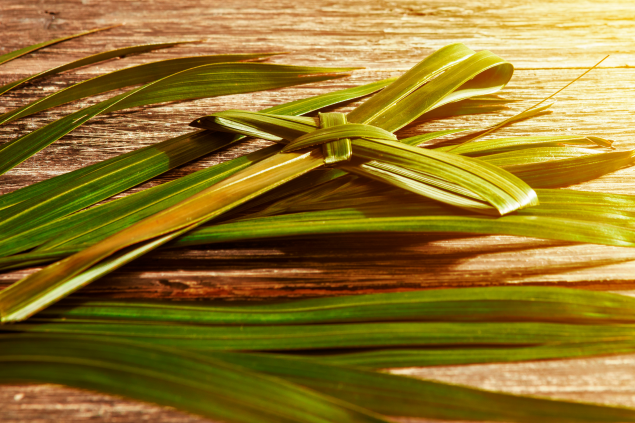 Palm Sunday: Catholic Customs & Traditions | Catholic Truth Society